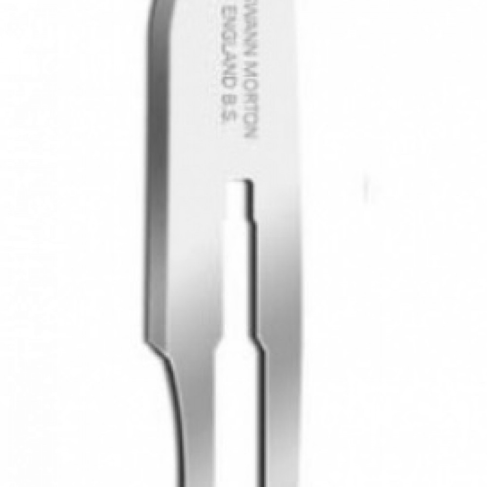 Swann Morton Sterile Surgical Blade in Stainless Steel No. 10 (0301 ...